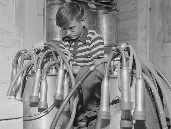 Electricity’s Early Days: The Gadgets, Contraptions and Conveniences of ...