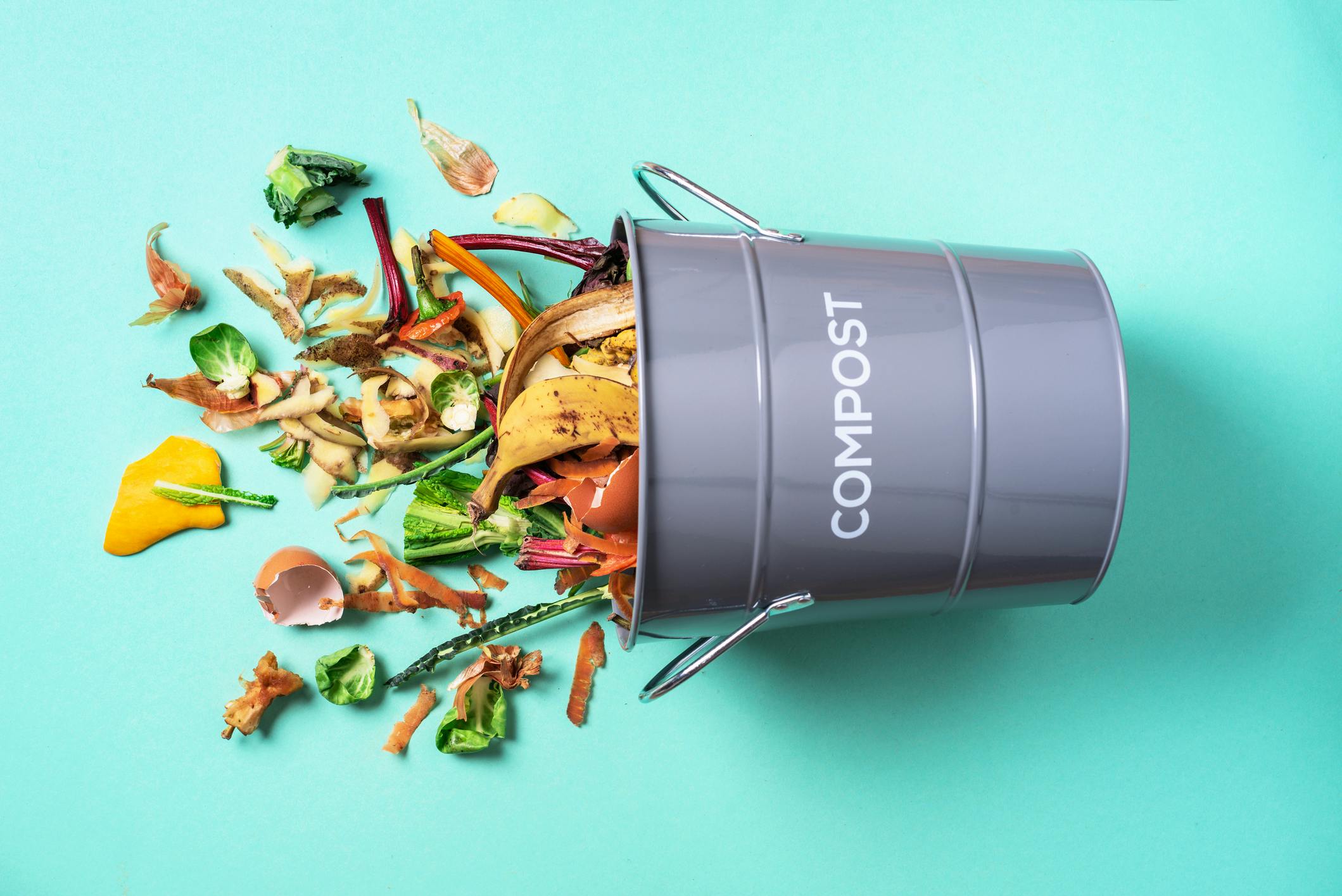 Circular Economy: HelloFresh Working to Convert Food Waste into New ...