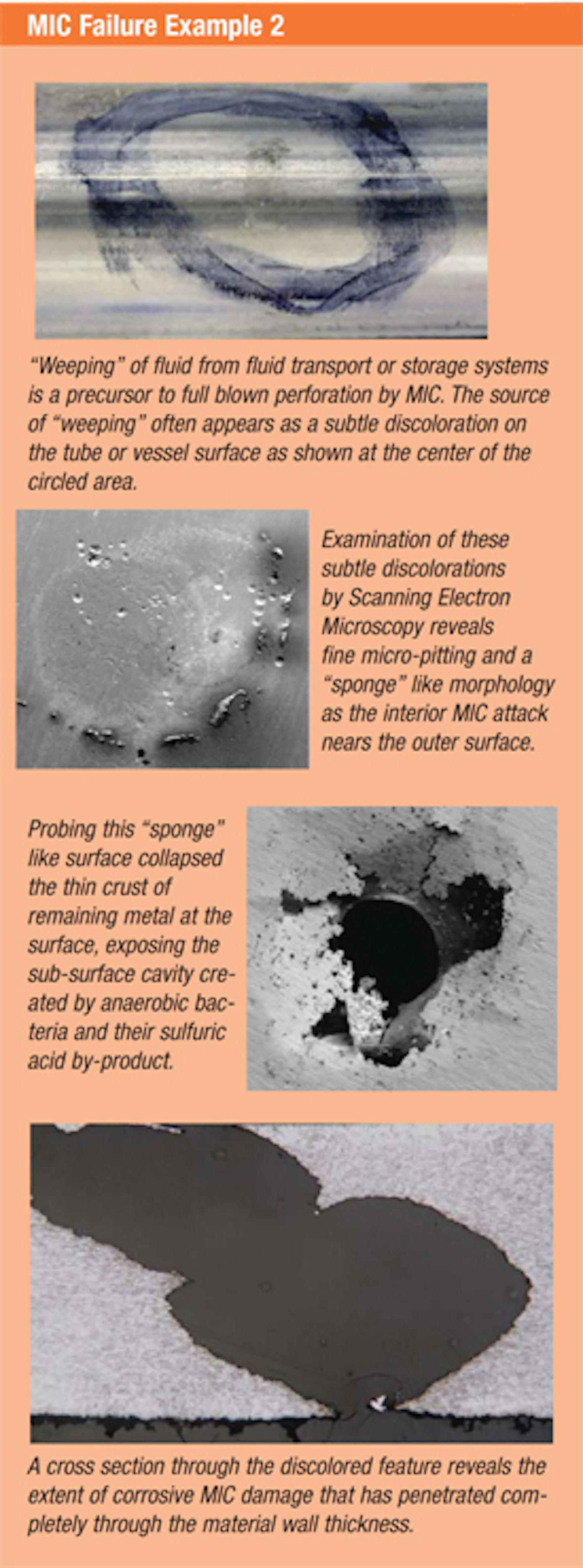 Microbiologically induced corrosion | PI Process Instrumentation