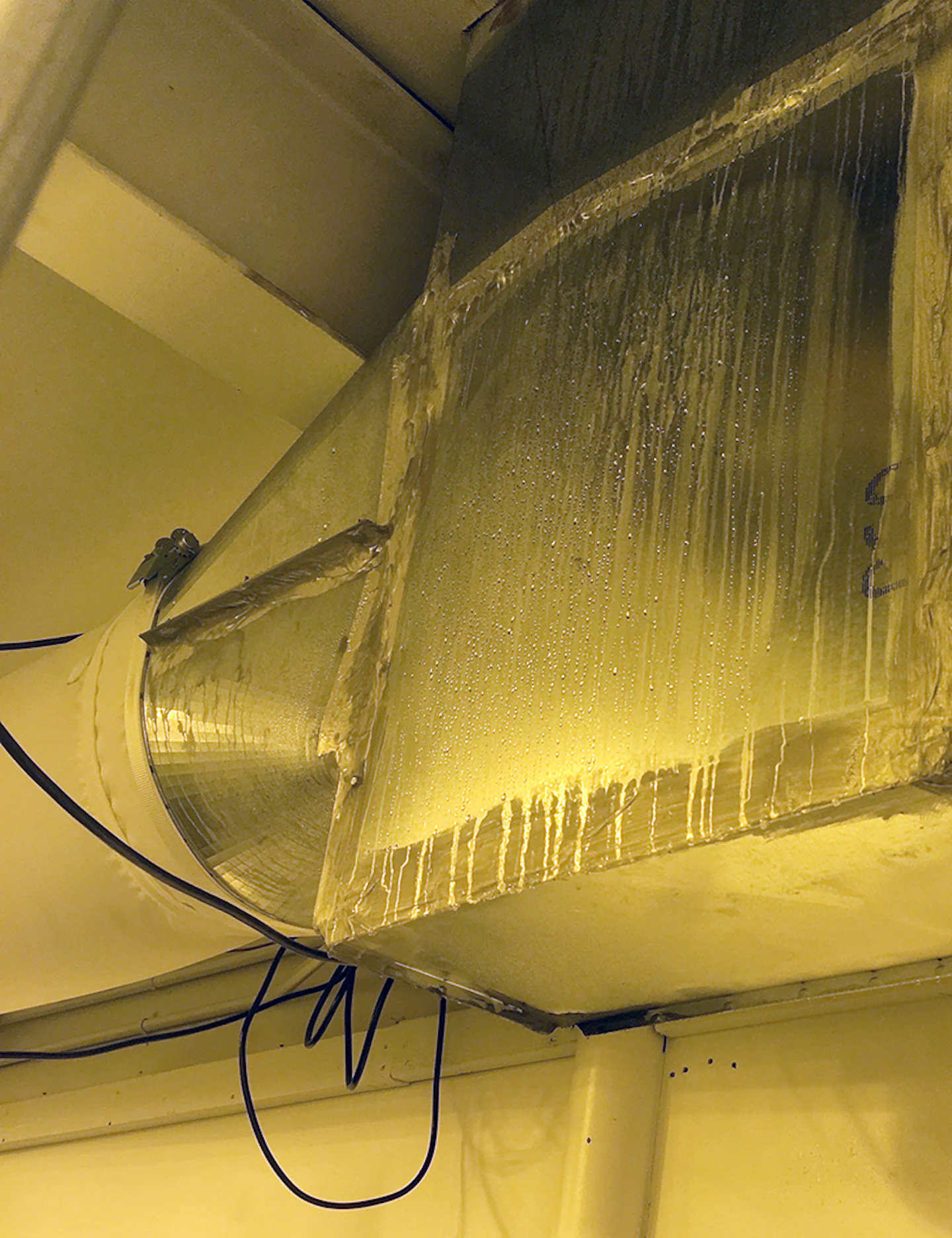 Cannabis Room Productivity Relies on Ventilation Design | HPAC Engineering