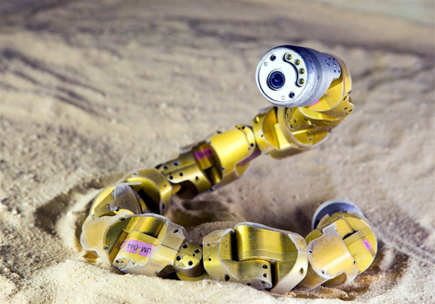 7 Bio-Inspired Robots that Mimic Nature | Machine Design