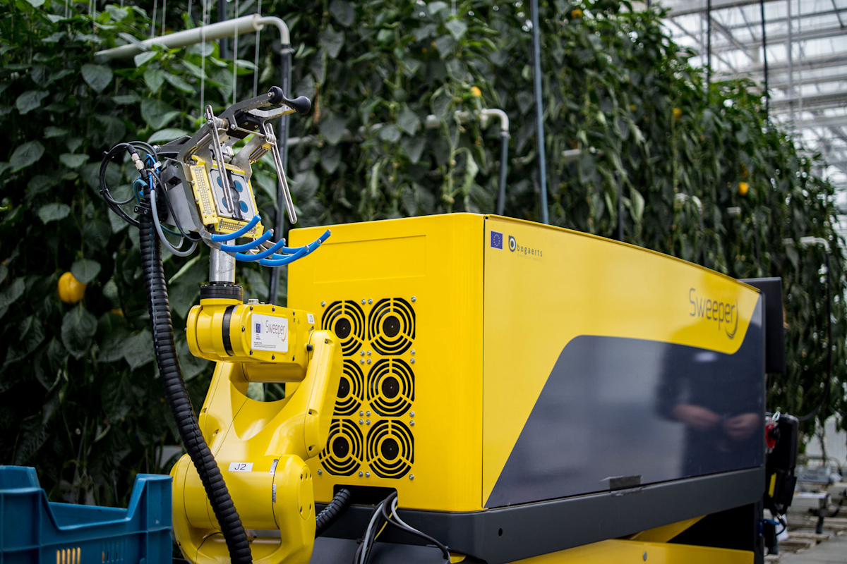 New Agriculture Robot SWEEPER Lends a Hand in Pepper Picking | Machine ...