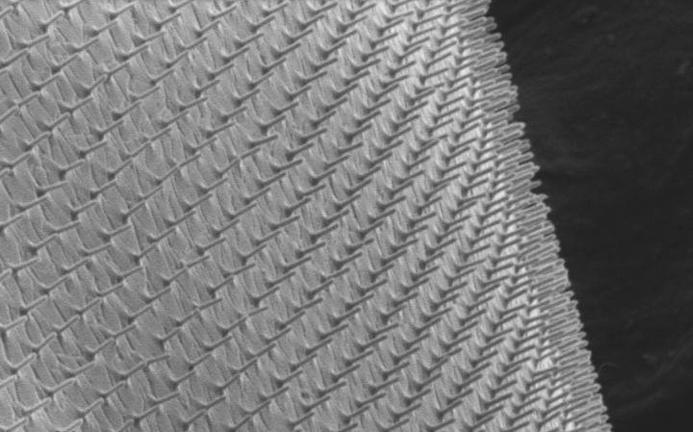 New Silicon Drug Patches Help Delivery Drugs Via Nanoneedles | Machine ...