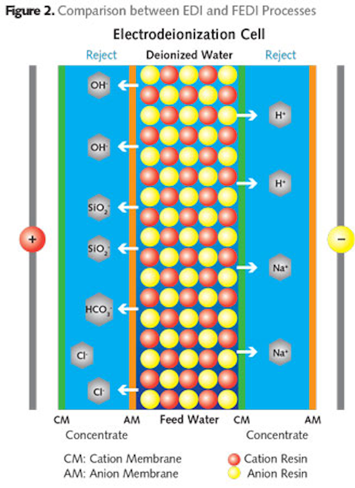 Fractional Electrodeionization for Highly Purified Process Water ...