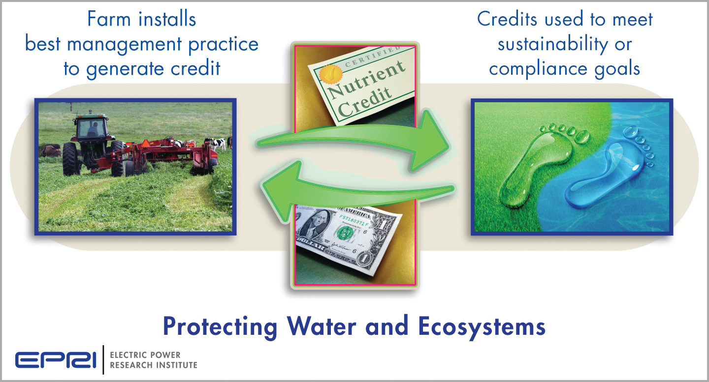 Trading Up | Water Tech Online